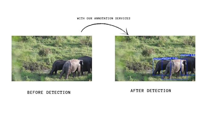 Do image annotation of multiple classes, labelling of images by ...