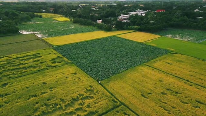 Short promotional video, short intro video 01 by Nguu97 | Fiverr