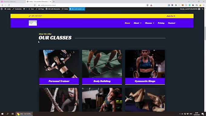 Create responsive wordpress website or woocommerce shop by elementor divi avada by Liam_noah25 ...