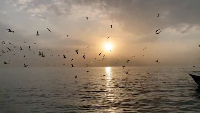 Provide royalty free music for youtube videos by Harim_fatima | Fiverr