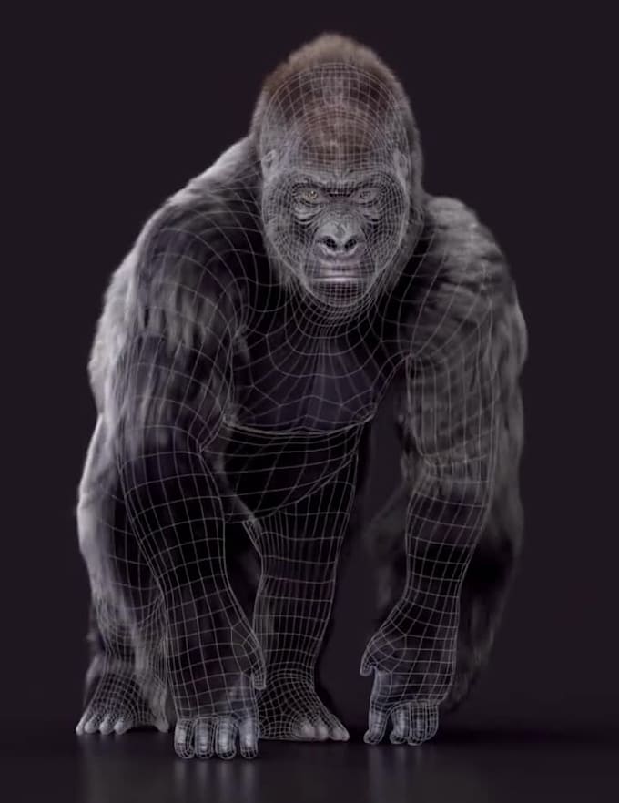 Integrate cgi 3d animal animation, 3d animal rigging, 3d animal texture ...