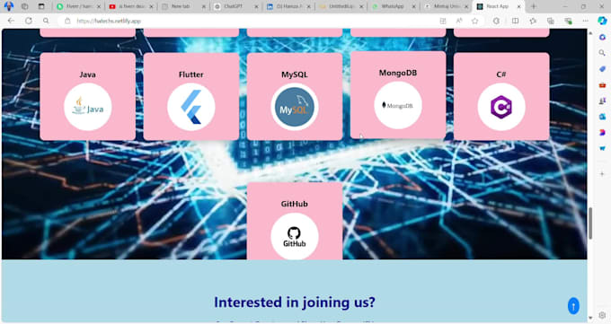Craft web development, data analysis, and machine learning by ...