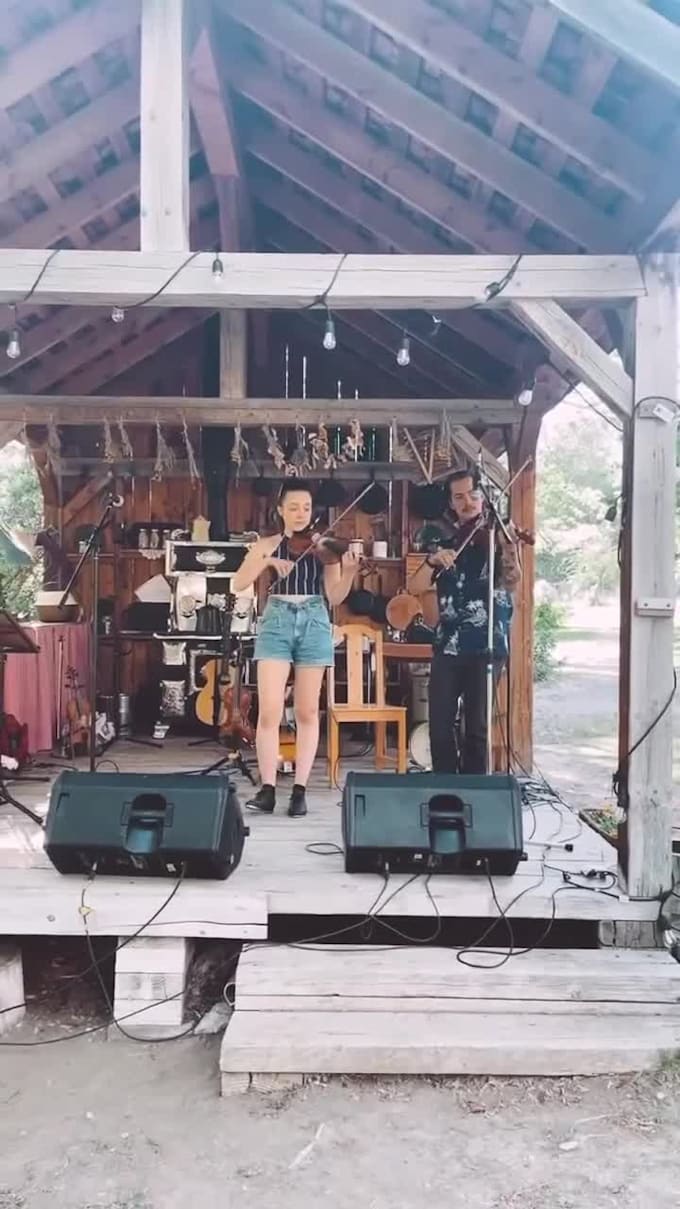 Teach you how to play the violin and fiddle by Kaigronberg24 | Fiverr