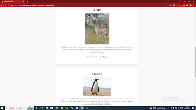 Make you a website in html and css you can ask for anything by ...