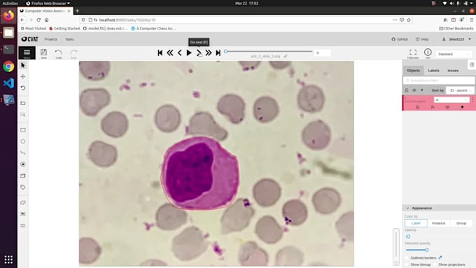 Do image annotation, polygon, bounding box, and all data labeling for ...