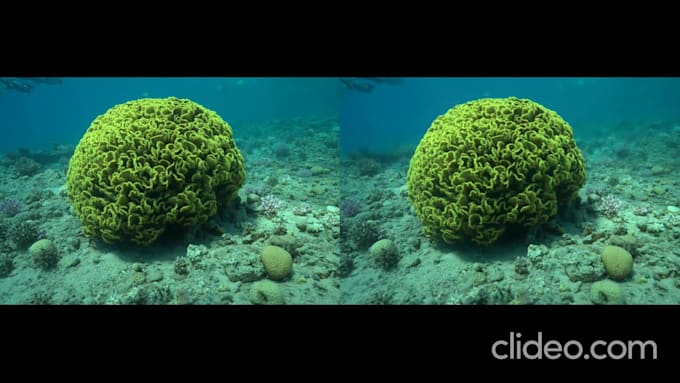 Do 3d computer vision, 3d reconstruction, camera calibration by ...