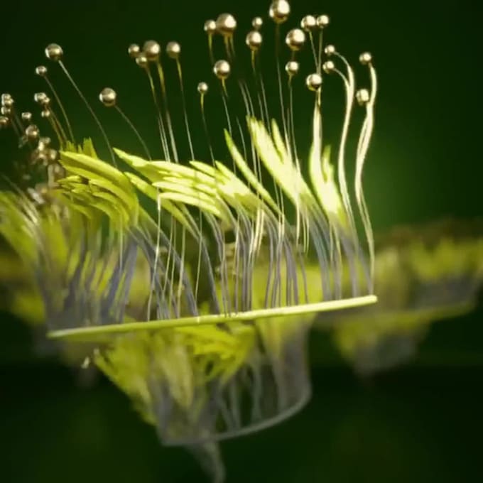 Do 3d abstract animation 3d abstract art 3d motion graphics 3d ...