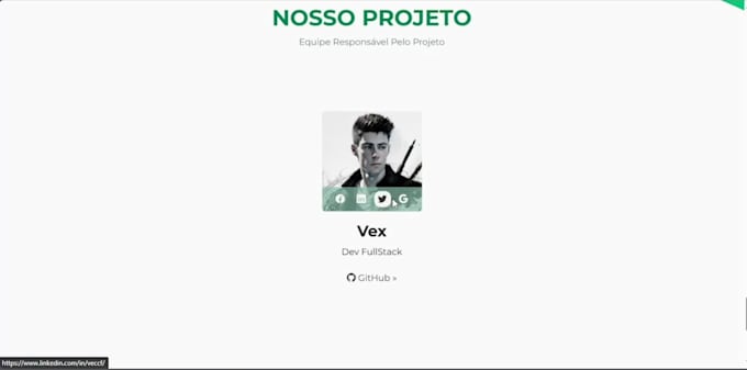 Create your expert web page with html, css and js, bug fix, custom ...