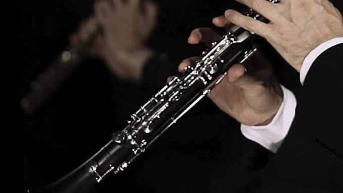 Recording clarinet with a style special to me by Hazaldodo | Fiverr