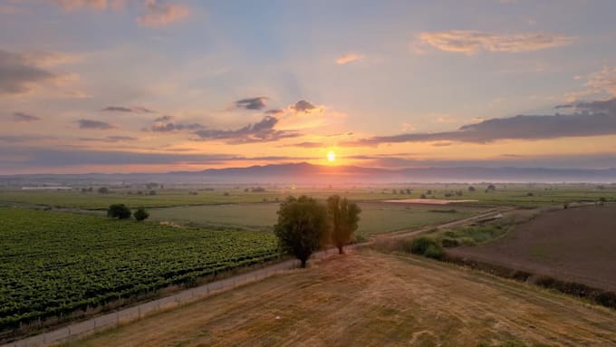 Offer you a really good edit by Henningedits | Fiverr