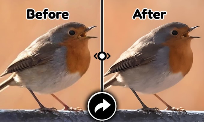 Increase image quality with ai upscaling and enhancement by Yasiru ...