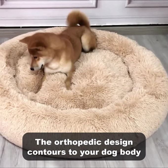 Create drop shipping video ads and facebook ads by Shahzaibkhanxad | Fiverr