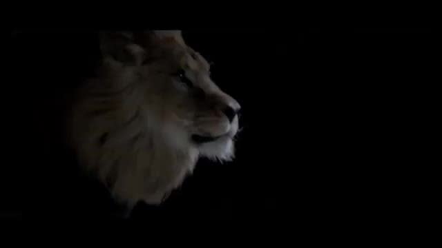 Create 3d animal model, character modelling, 3d animal rigging, fur and ...