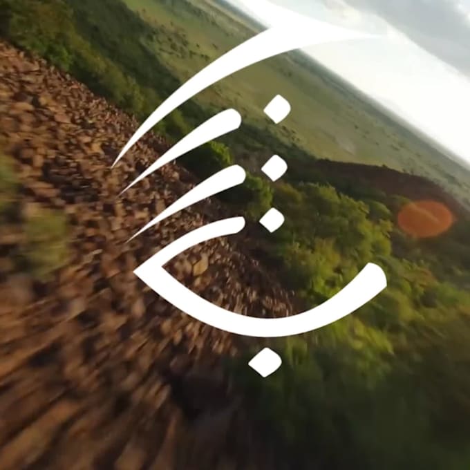 Create custom professional intro, outro, motion graphic by The3bdellah ...