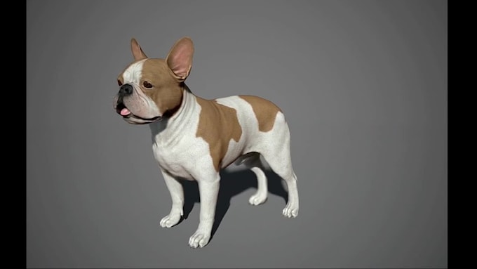 Create 3d animal model, fur, xgen, hair, realistic texture, rig, 3d ...