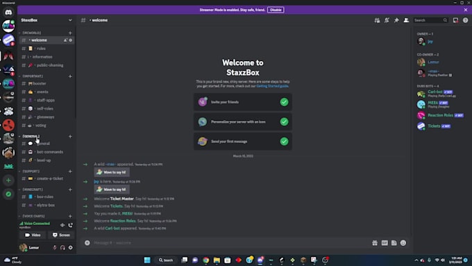 Make a proffesional discord server for your community by Elijahcrisp ...