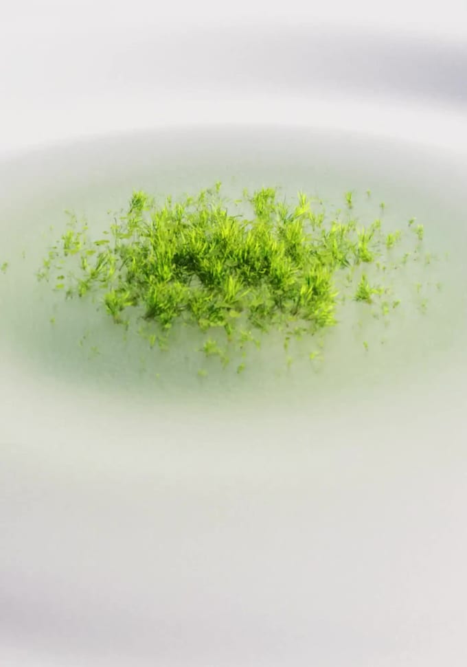 Do 3d perfume animation 3d perfume bottle video ads perfume fragrance ...