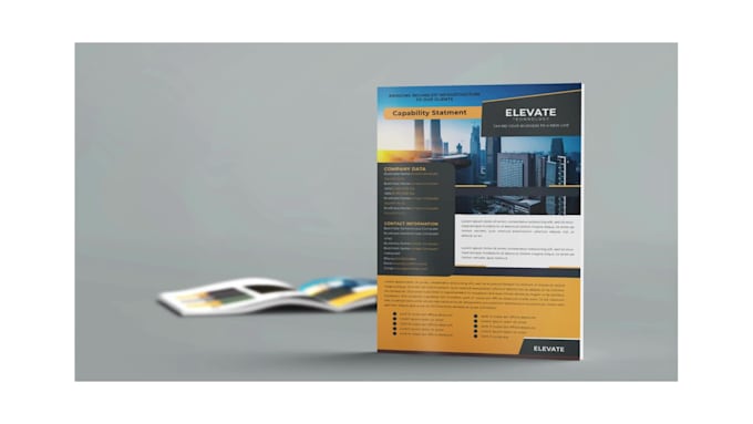 Do a professional and effective capability statement design with flyer ...