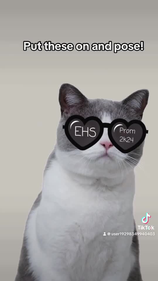 Create and upload snapchat and tiktok filters for your event by ...