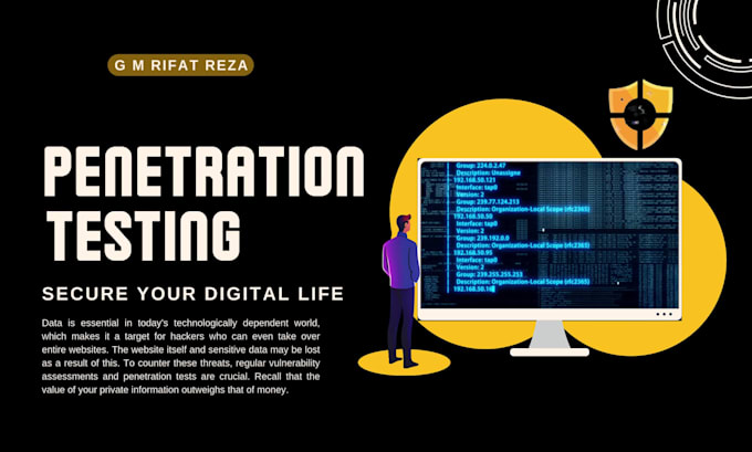 Perform in depth penetration testing, deliver a full vulnerability ...