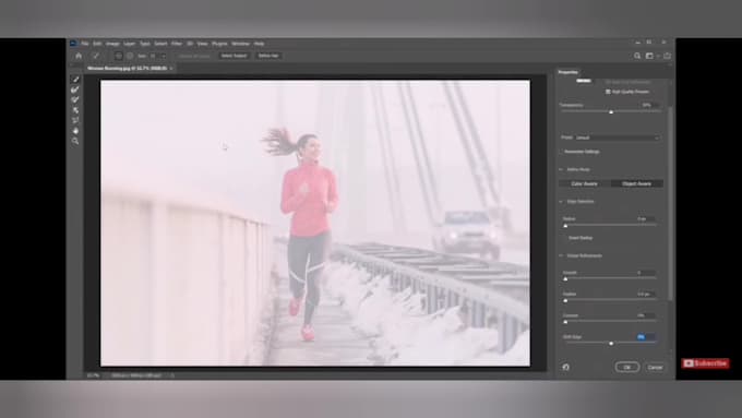 Remove background from 25 to 150 images and resize by Lydiadarla | Fiverr