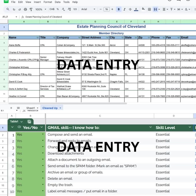 Deliver accurate and reliable data entry services by Onuohaesther | Fiverr