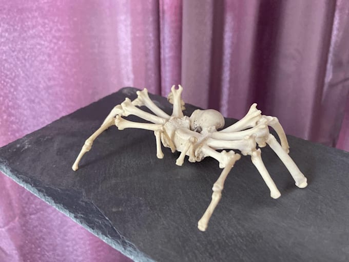 Create a unique sculpture made of real bones by Novagcasillo | Fiverr