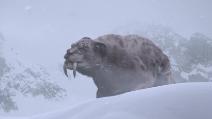 Render realistic 3d animal model, 3d animal rigging xgen fur 3d animal ...