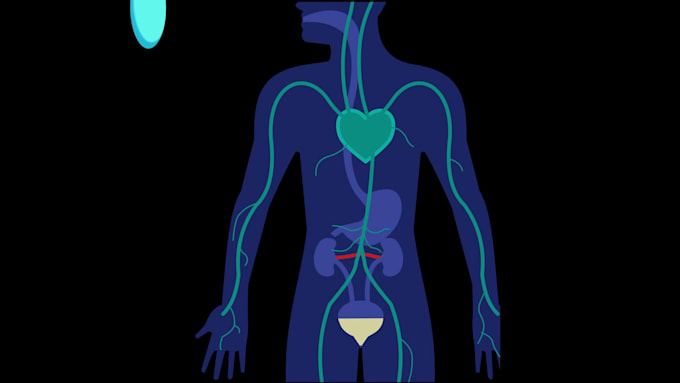 Create highly in demand flat style explainer videos by Cephas_kyrbb ...