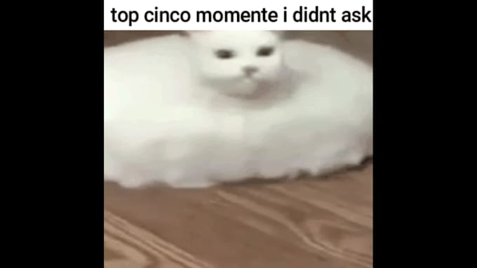 Create dank meme gif by Pechhiss | Fiverr