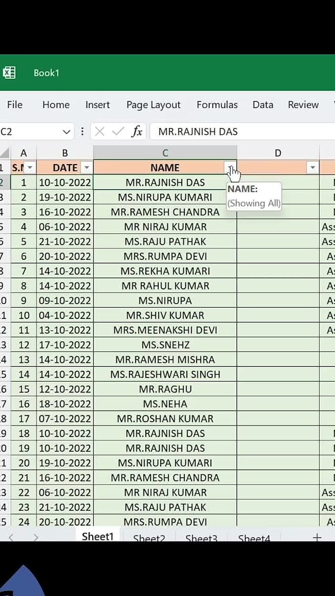 Do excel, data cleaning, entry, format, split excel data by Sumit_excel9718 | Fiverr