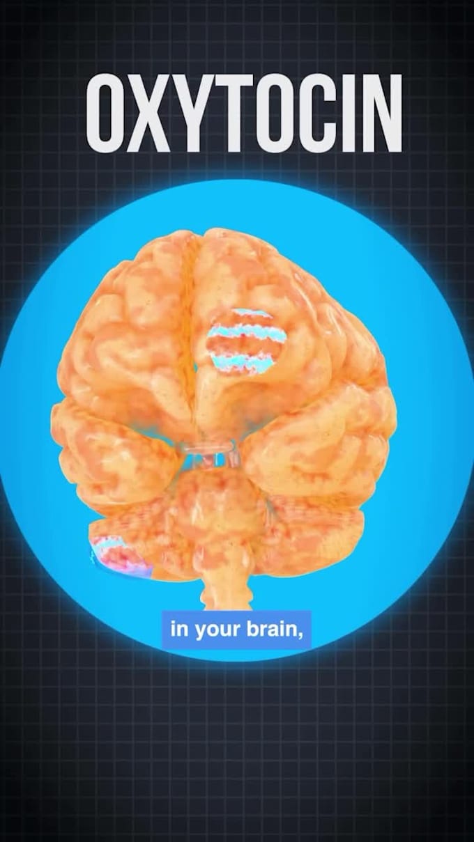 Do professional talking head video editing by Mhd_fathoon | Fiverr