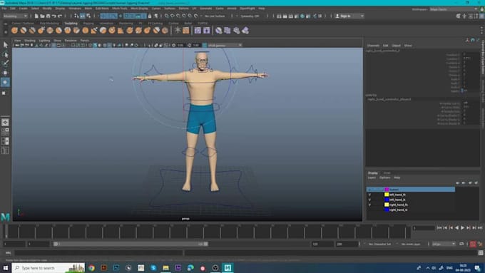 3d body rig, rig 3d character, humanoid 3d rigging, roblox rig, rig 3d ...