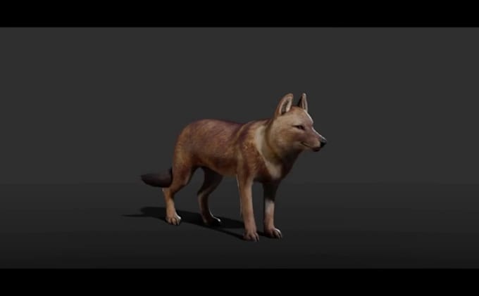 Do 3d animal model, 3d animal animation, xgen hair fur texture, animal ...