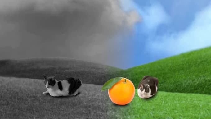 Create a simple lua based animation by Itsgioshawn | Fiverr