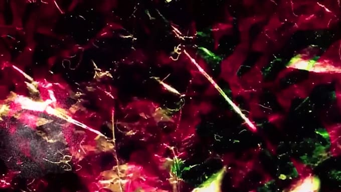 Create illustration book and album cover animated gifs by Silsof | Fiverr