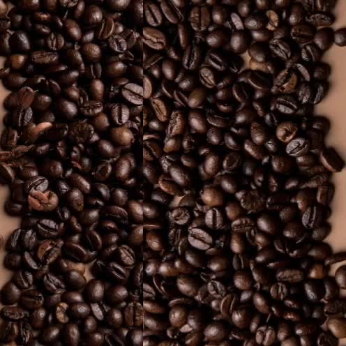 Design beginner friendly logo in canva by Mjay_services | Fiverr