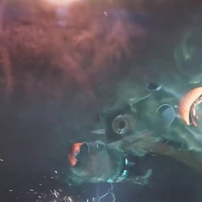 Do cgi, vfx, compositing, animation, visual effect by Festiruu | Fiverr