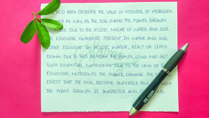 Write anything with lovely cursive handwriting by Saima_035 | Fiverr