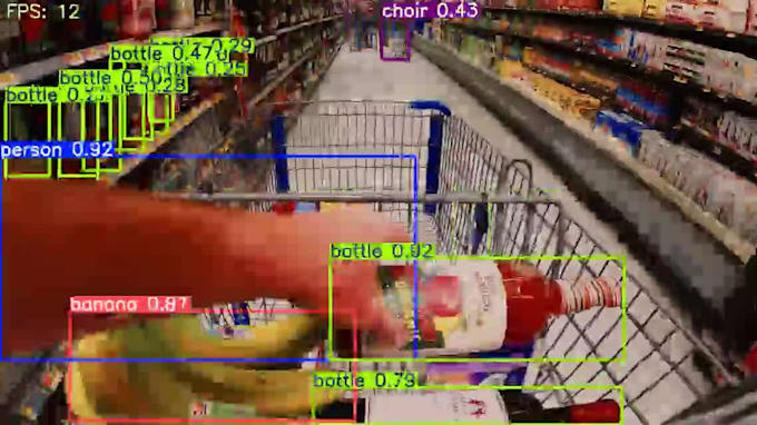 Develop a real time object detection model using yolo by Humzaawan | Fiverr
