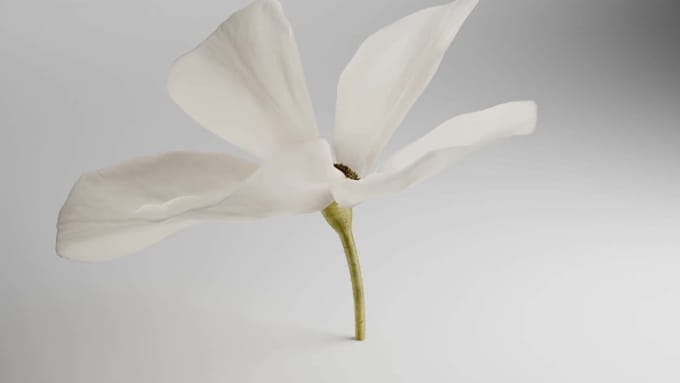Do realistic 3d plant growth render, cgi 3d flower animation, vfx plant ...