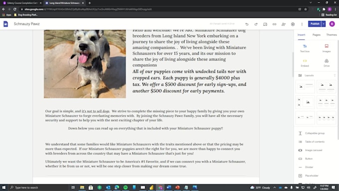 Create your website using google sites by Ronnitoj | Fiverr