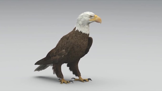 Animate 3d cgi realistic animal model, 3d cgi animal design, 3d animal ...