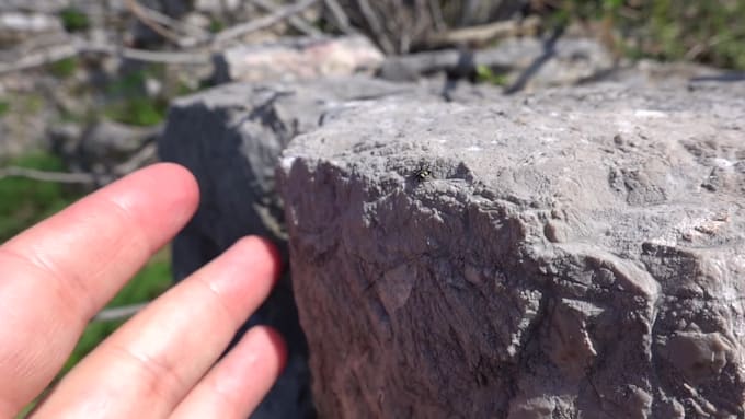 Compress video files without quality loss by Pointypenguin | Fiverr