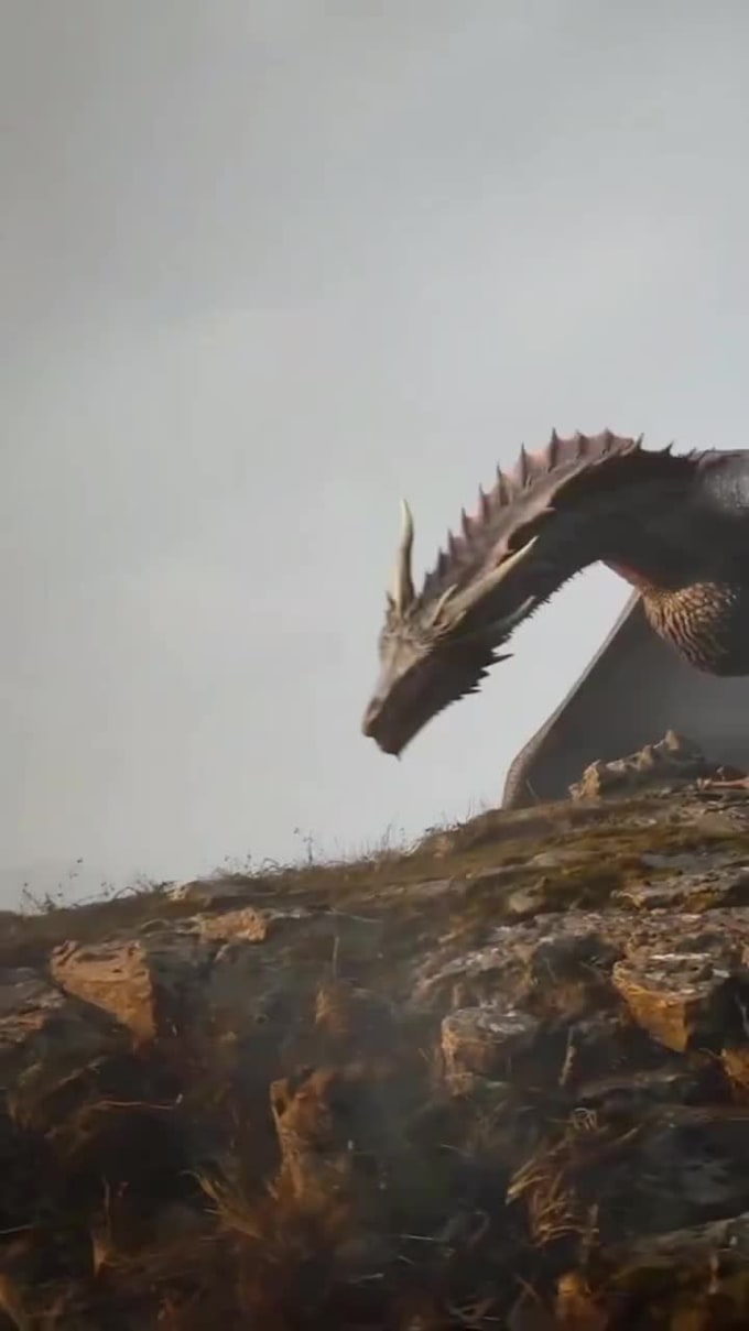 3d dragon model, animal design, rendering and 3d dragon animation by ...