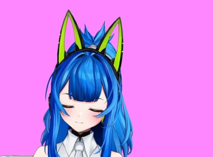 Diseño y montaje de personaje vtuber profesional en live2d para modelo ...