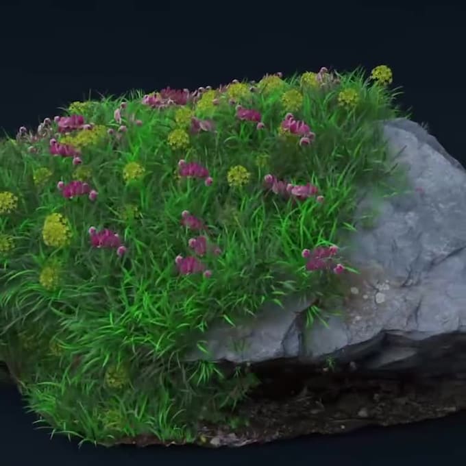 Do a realistic 3d flower, 3d flower animation, 3d cgi, plant vfx flower ...