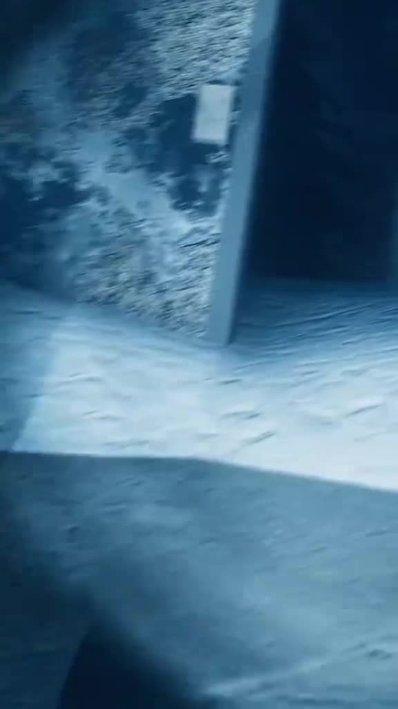 Create vrchat avatar 3d avatar, vrc character, furry avatar by ...