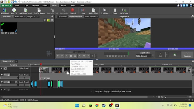 Edit your minecraft videos by Survivorz12 | Fiverr
