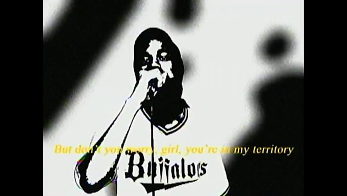 Create real vhs overlay for your project by Ksukimyra | Fiverr